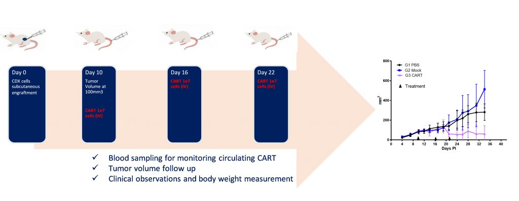 Oncology - Aragen Life Sciences