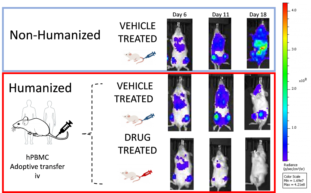 Oncology - Aragen Life Sciences