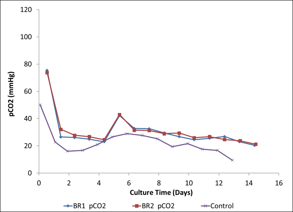 Cell Line Engineering & Development Solutions by Aragen