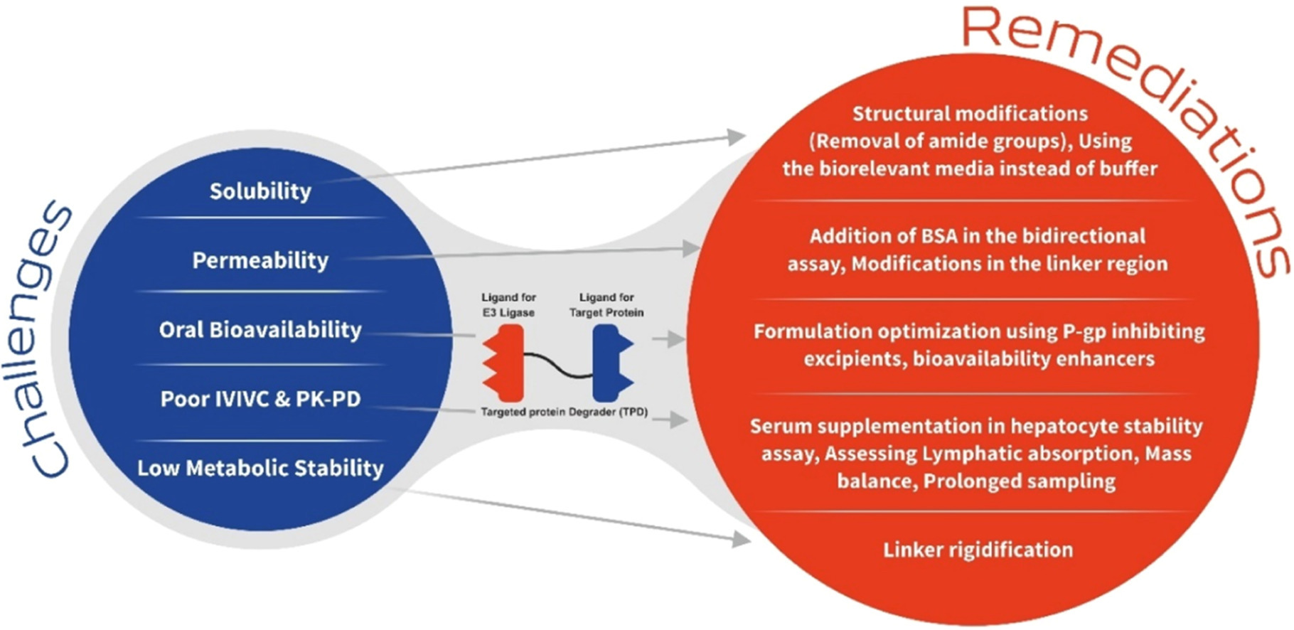 Targeted Protein Degraders - The druggability perspective - Aragen Life ...