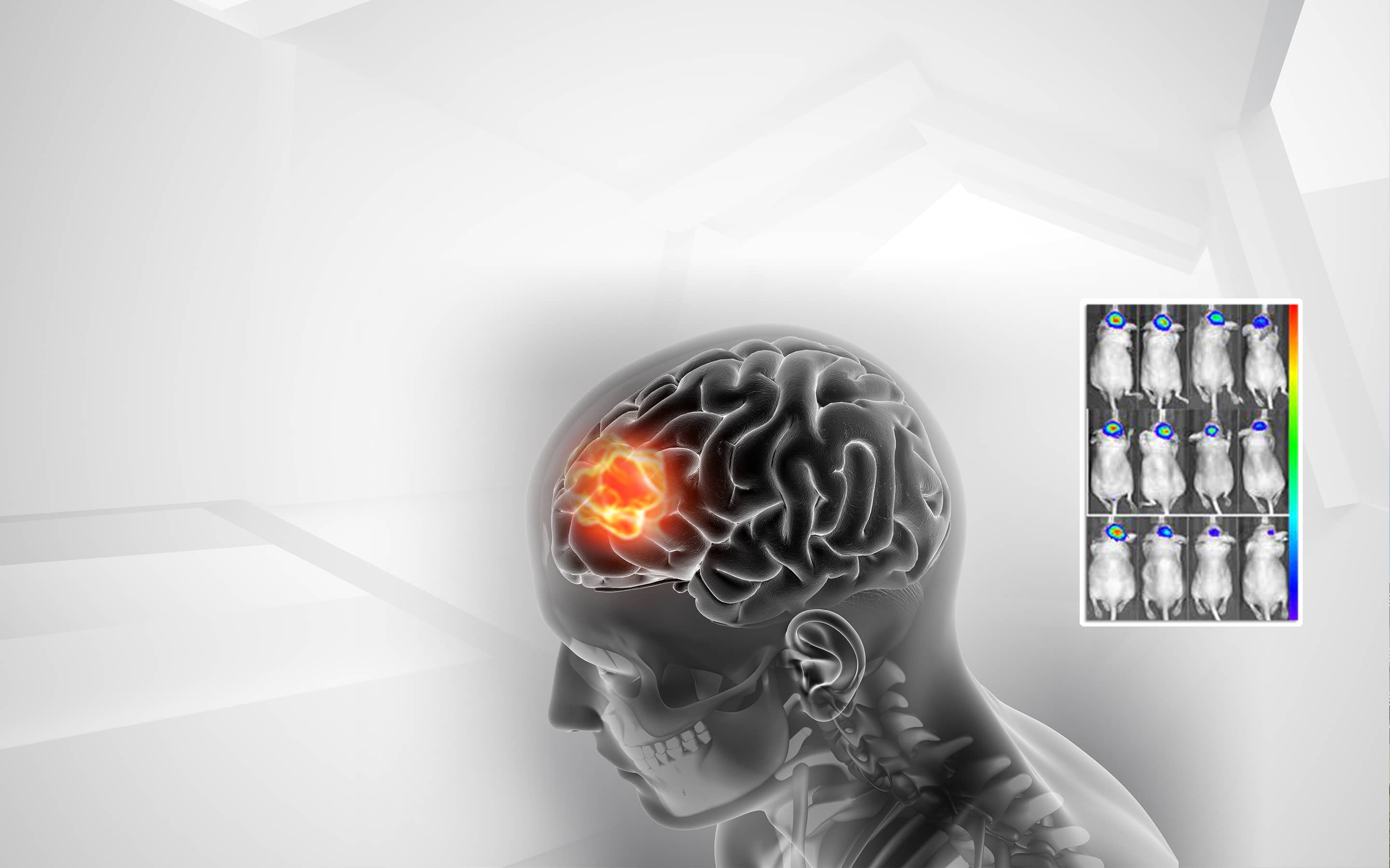 CDMO Services | R&D drug development process - Aragen Life Sciences