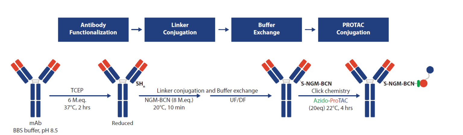 PROTAC-Based Degrader Antibody Conjugates: Combining PROTACs with ...